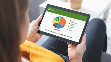 Understand Your Bill - CNG