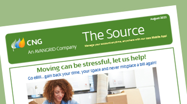 Understand Your Bill - CNG