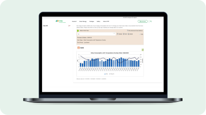 Summer Energy Tips - CNG